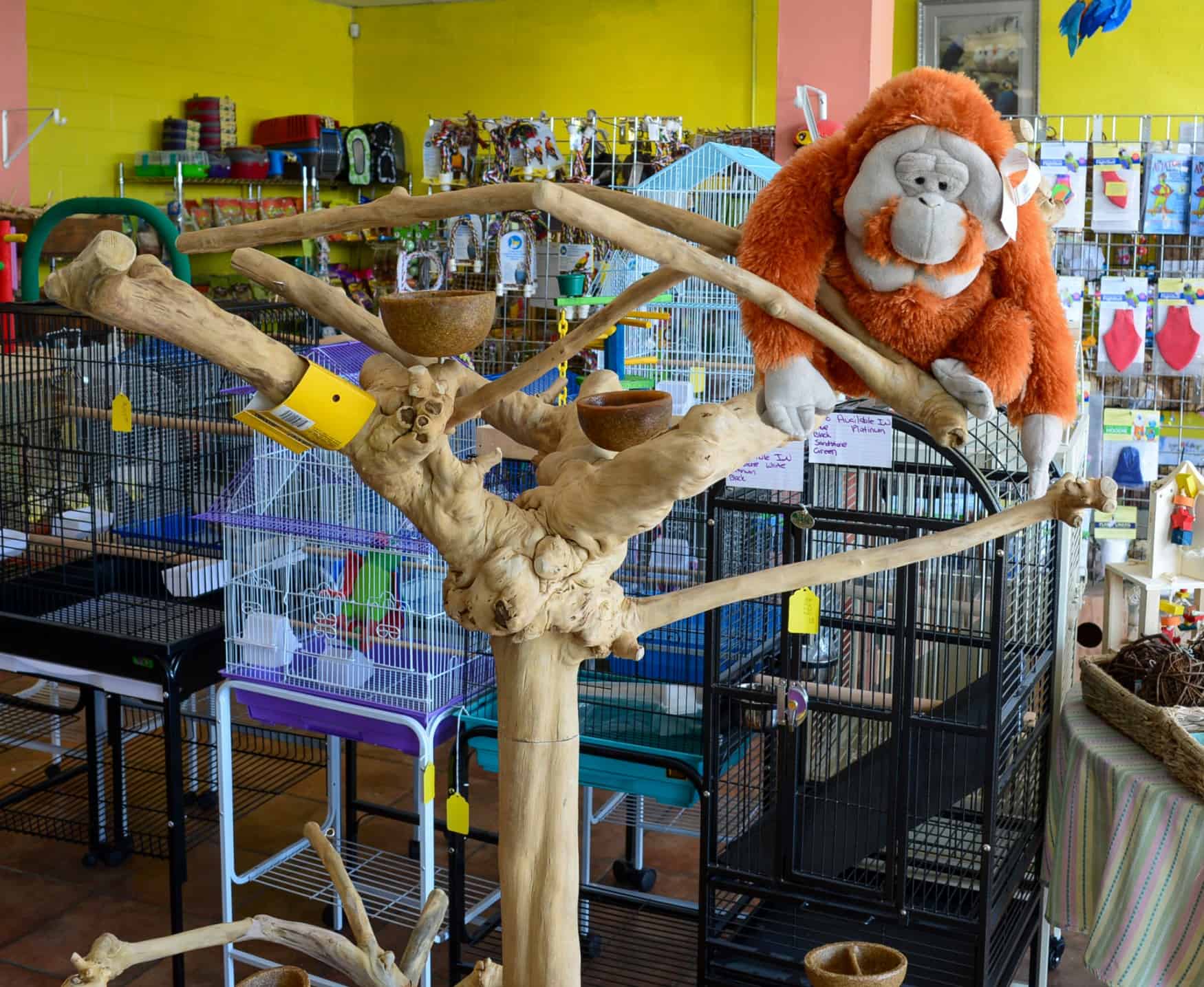 Home - Just For Parrots