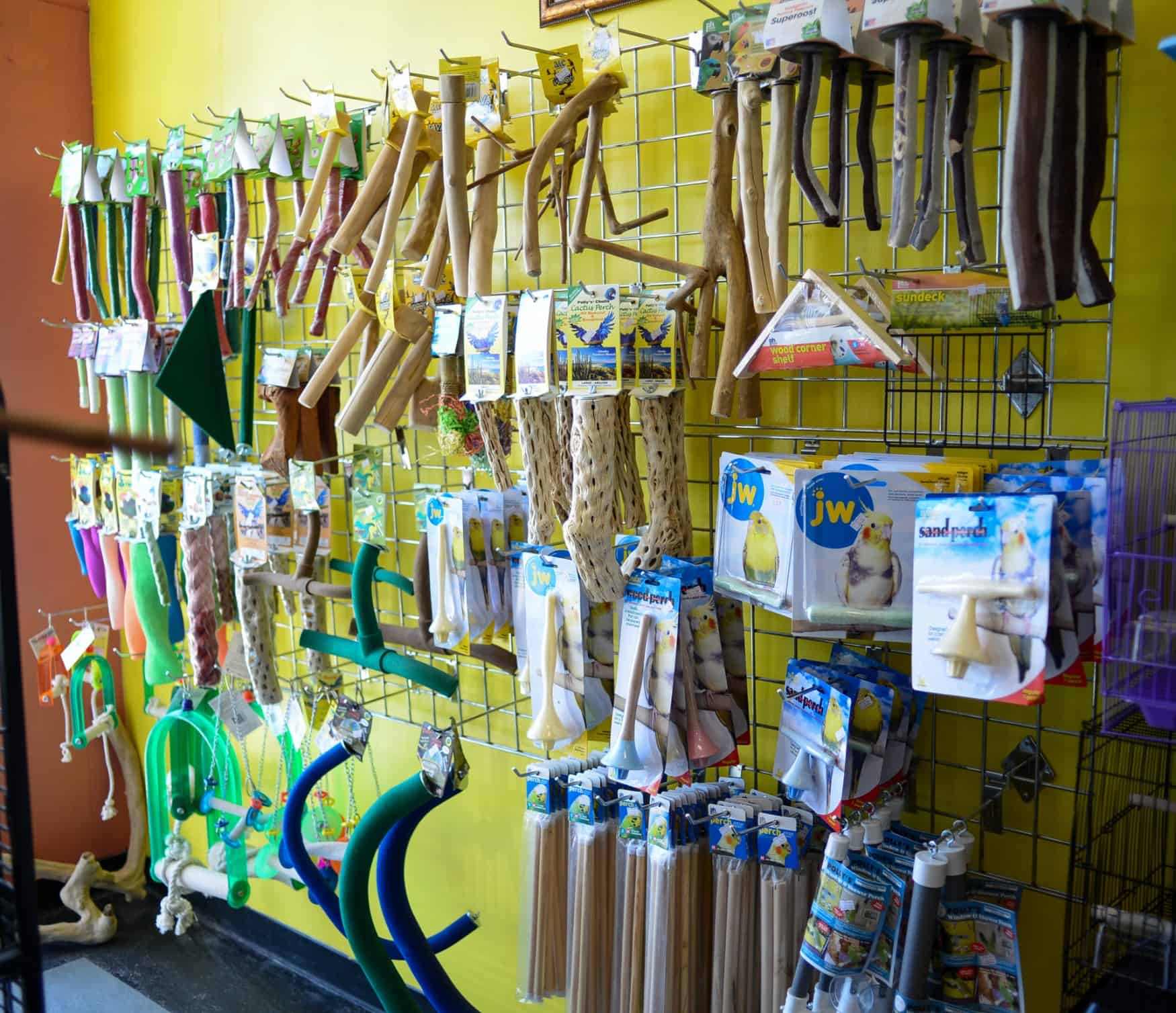 Visit Our Store - Just For Parrots